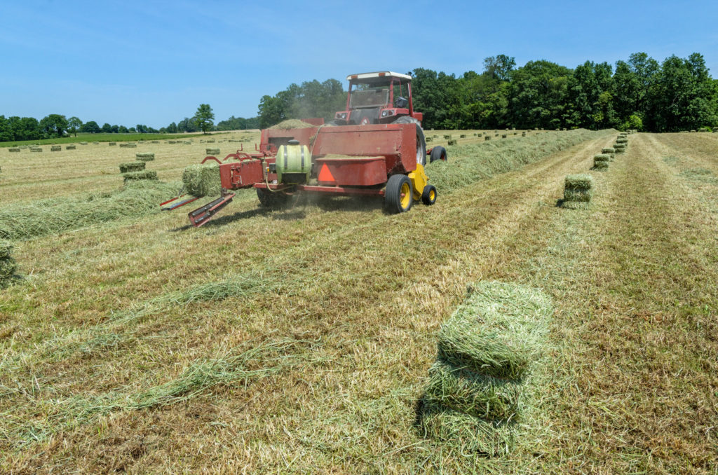 PA Agriculture and the Racing Industry: How Feed is made with Local ...