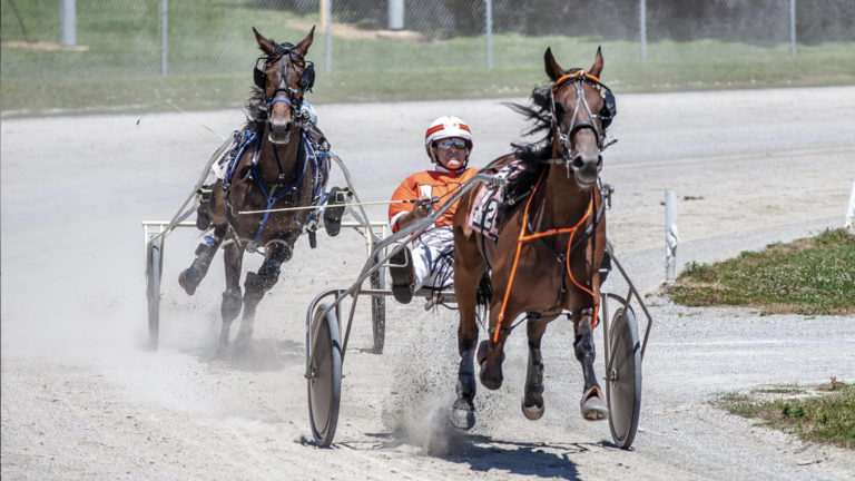 Racing Classes: Harness Racing — The Pennsylvania Horse Racing Association