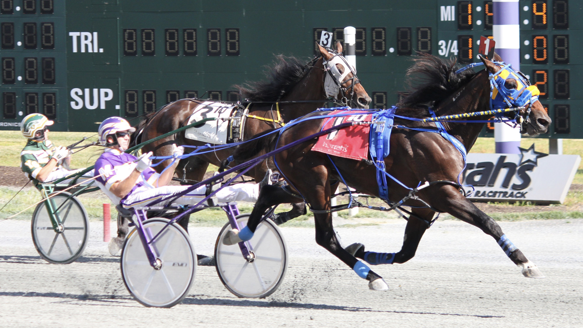 Trote: Shartin y McWicked, los mejores ganadores del premio Dan Patch ...