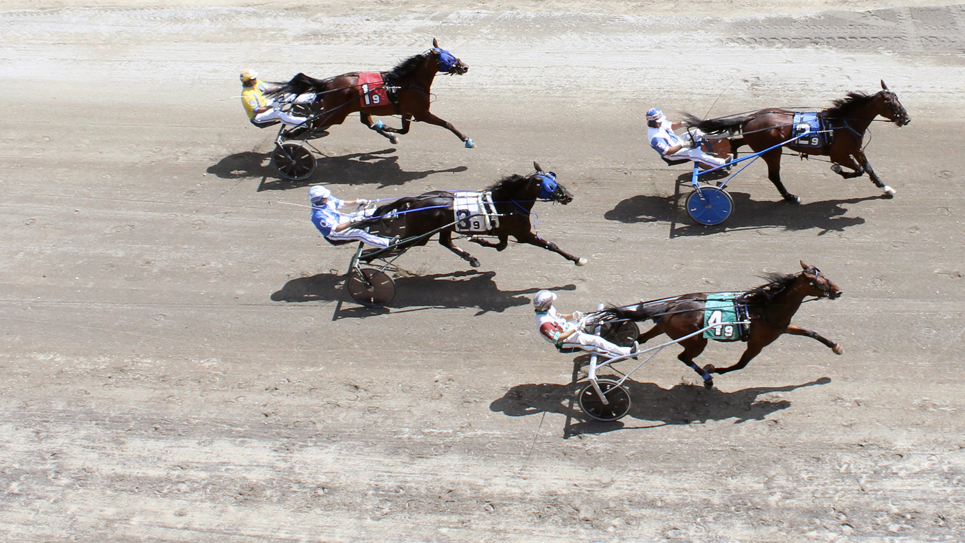 Pennsylvania Horse Racing — Learn How to Place Your Bet