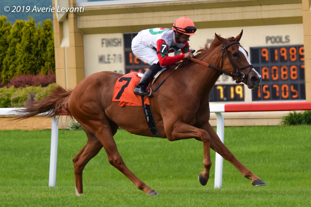 Regal Glory Draws Clear to Take Penn Oaks — The Pennsylvania Horse ...