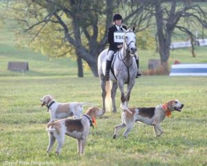 Safe Haven Equine Rescue: Healers, Healing & Horses — The Pennsylvania ...