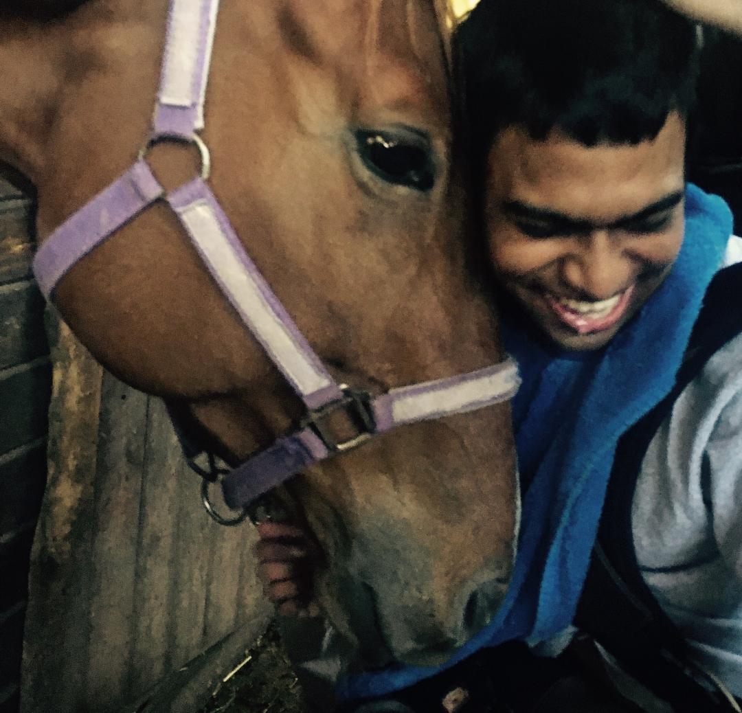 Safe Haven Equine Rescue: Healers, Healing & Horses — The Pennsylvania ...