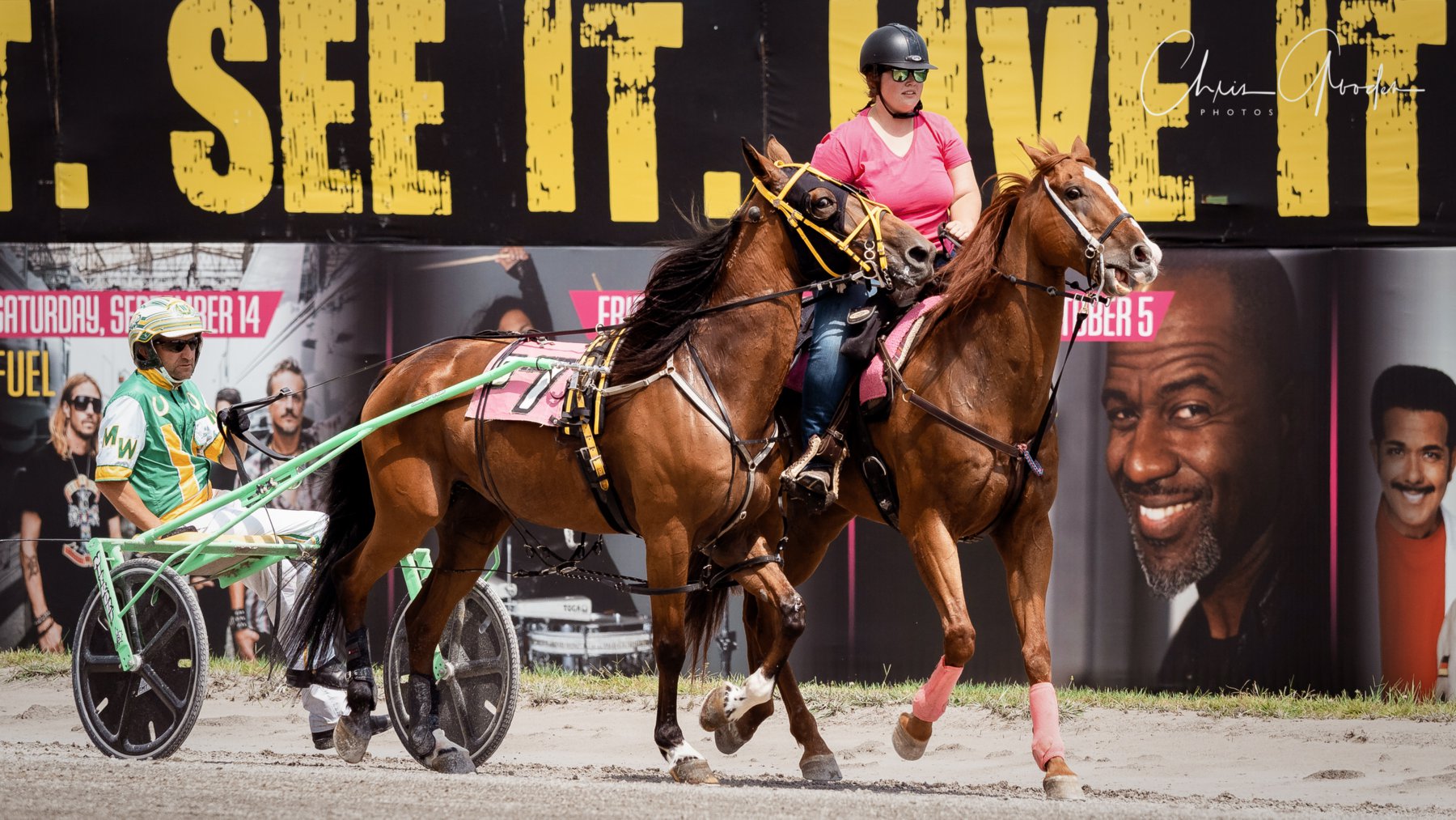 Pennsylvania Horse Racing — Family-friendly Events