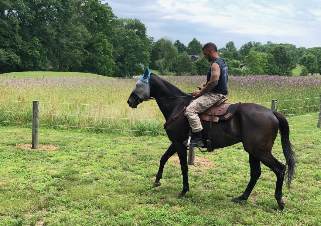 SAVEN HAVEN EQUINE RESCUE: CURADORES, CURACIÓN Y CABALLOS — The ...