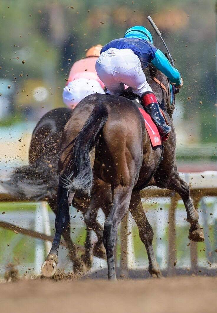 360 GT Revolutionizing The Riding Crop — The Pennsylvania Horse Racing ...