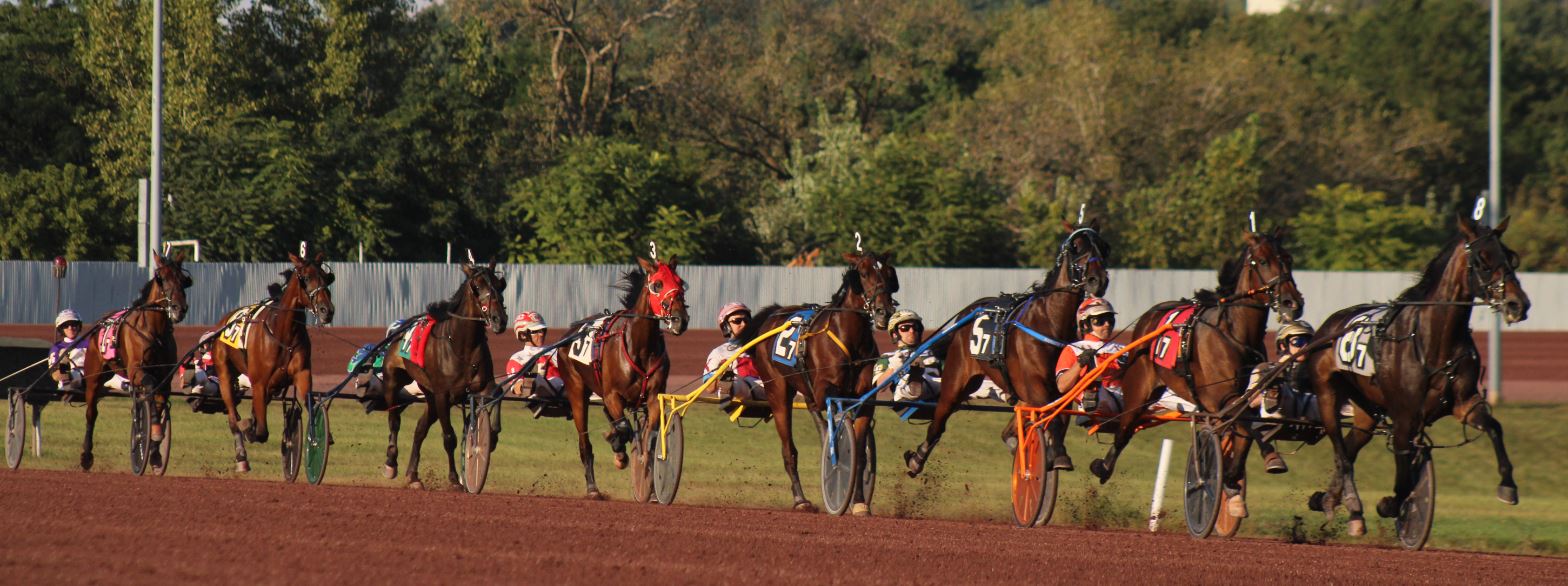 Pennsylvania's Standardbred Stallions: Part 5 — The Pennsylvania Horse ...