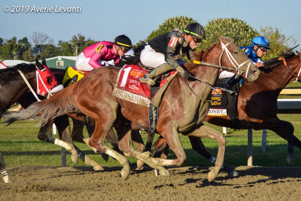 2019 Year In Review — The Pennsylvania Horse Racing Association