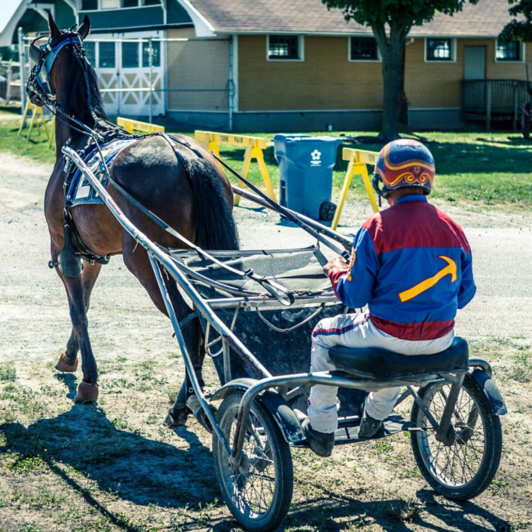 An Eye-Catching Tradition - Horse Racing Colors and Silks — The ...