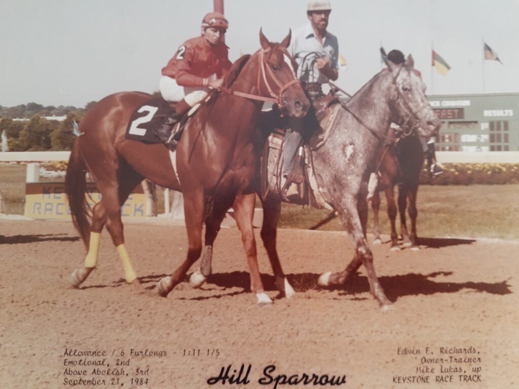 Memories of an Unforgettable Mare — The Pennsylvania Horse Racing ...