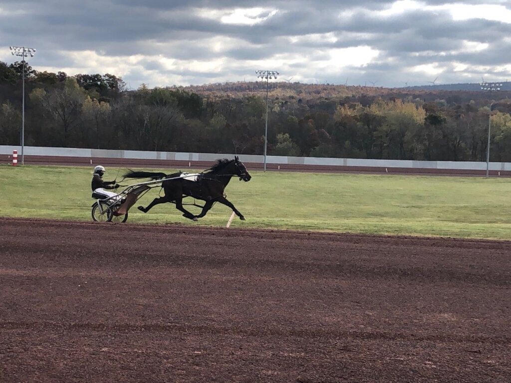 Training From The Heart - Marta Piotrow — The Pennsylvania Horse Racing ...