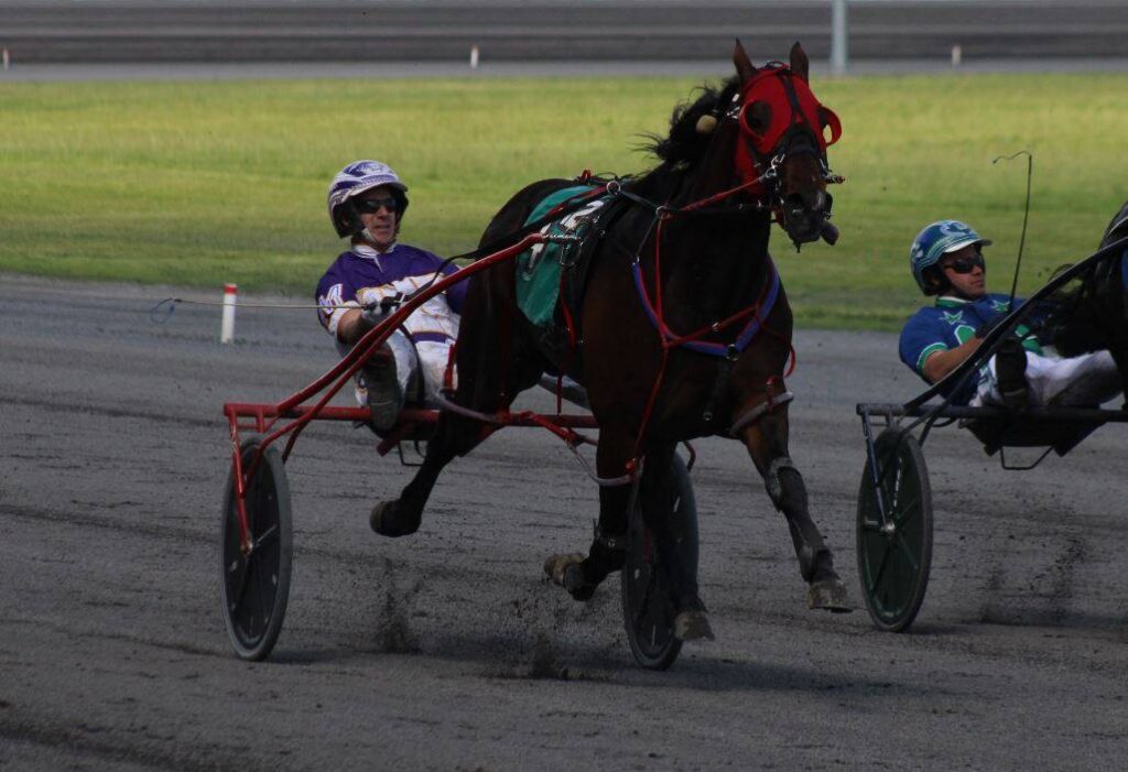 Influential Pacing Bloodlines — The Pennsylvania Horse Racing Association