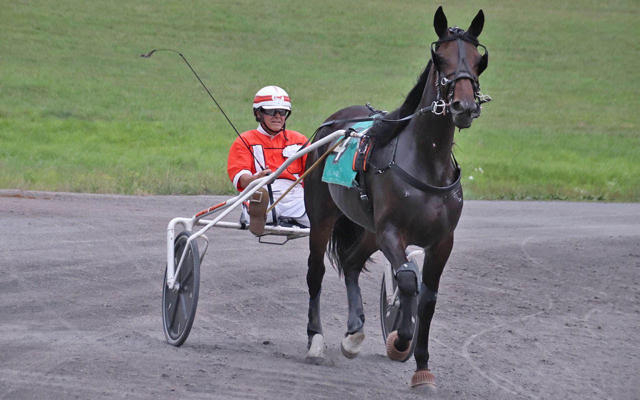 Horses Keep Him Young - Trainer Don Wiest — The Pennsylvania Horse ...