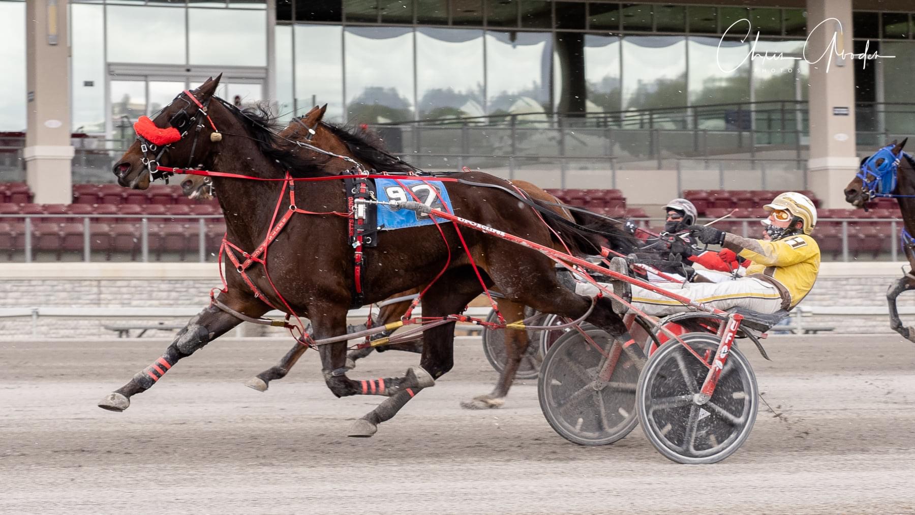 For The Horses - Trainer Scott Betts — The Pennsylvania Horse Racing ...