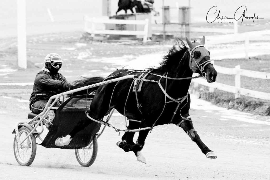 For The Horses - Trainer Scott Betts — The Pennsylvania Horse Racing ...