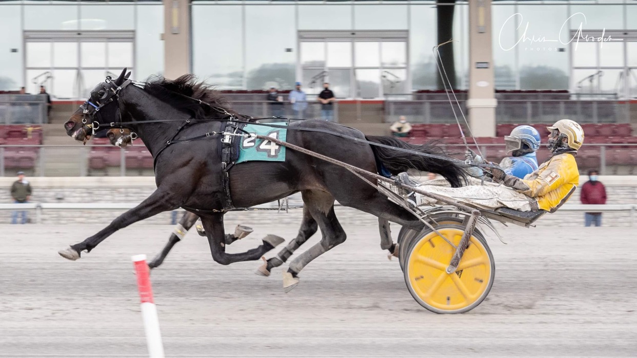 Next Stop: Breeders Crown - Jujubee and Greg Wright Jr. — The ...