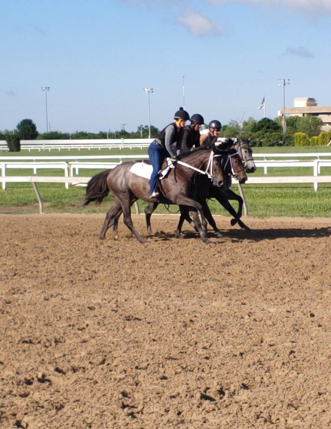 Trainer Erin McClellan - Strength, Perseverance, and a Lifelong Love ...