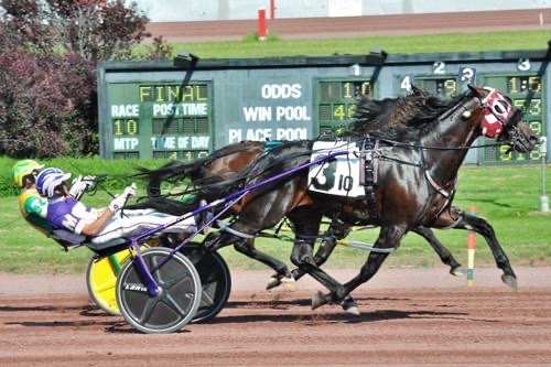 Stakes Racing In 2022-An Exciting Year! — The Pennsylvania Horse Racing ...