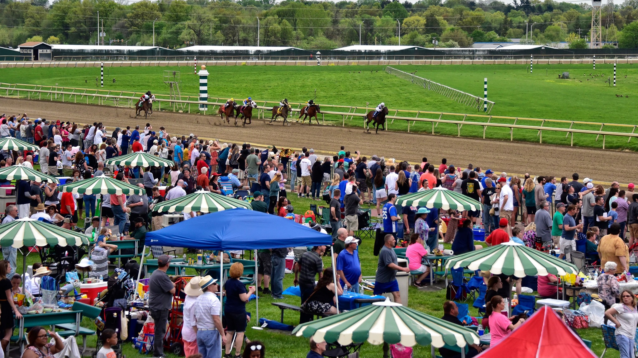 Lo mejor de todos los días en PARX — The Pennsylvania Horse Racing ...