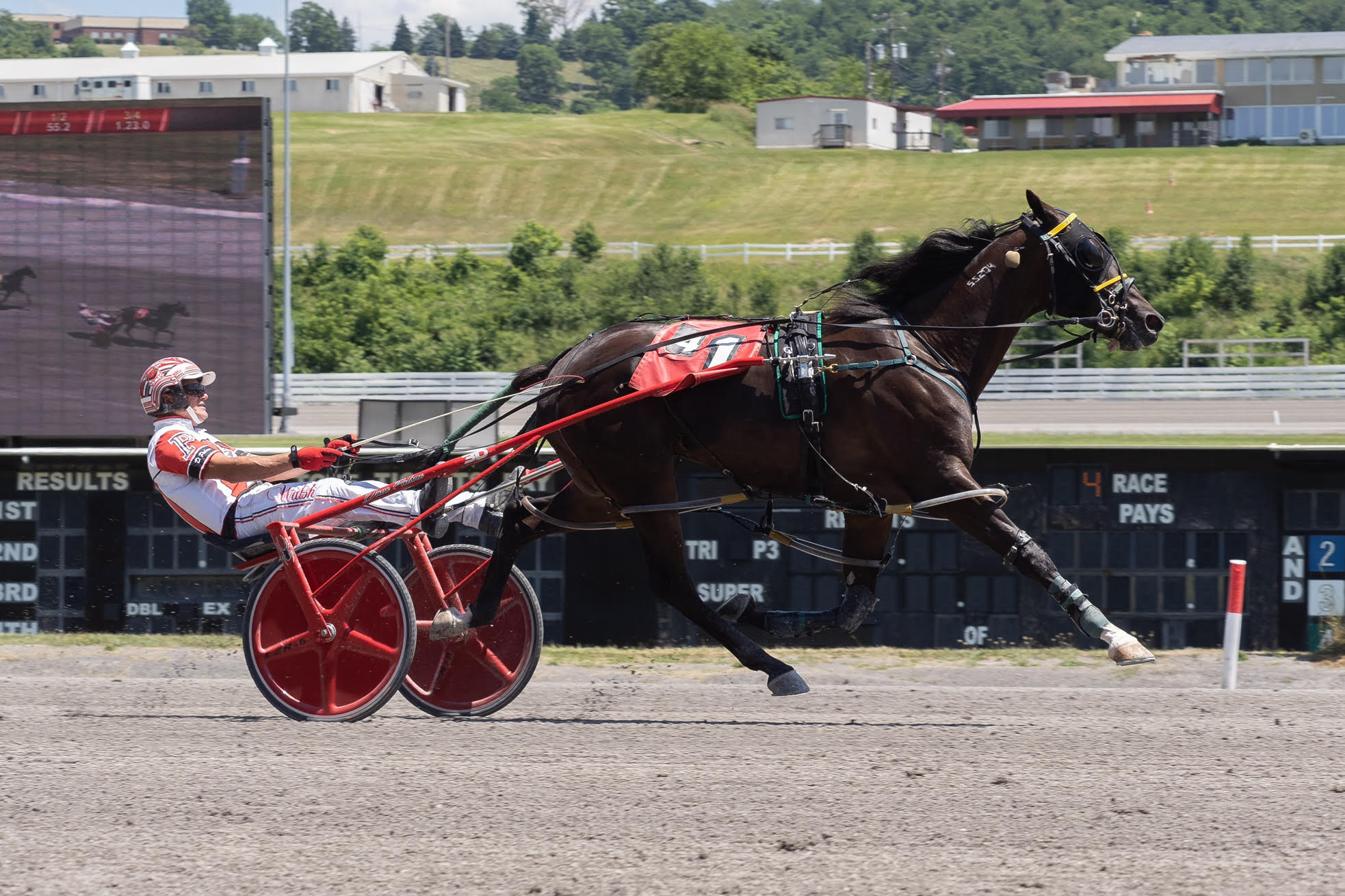Dave Palone - Fan Favorite X 20,000! — The Pennsylvania Horse Racing ...