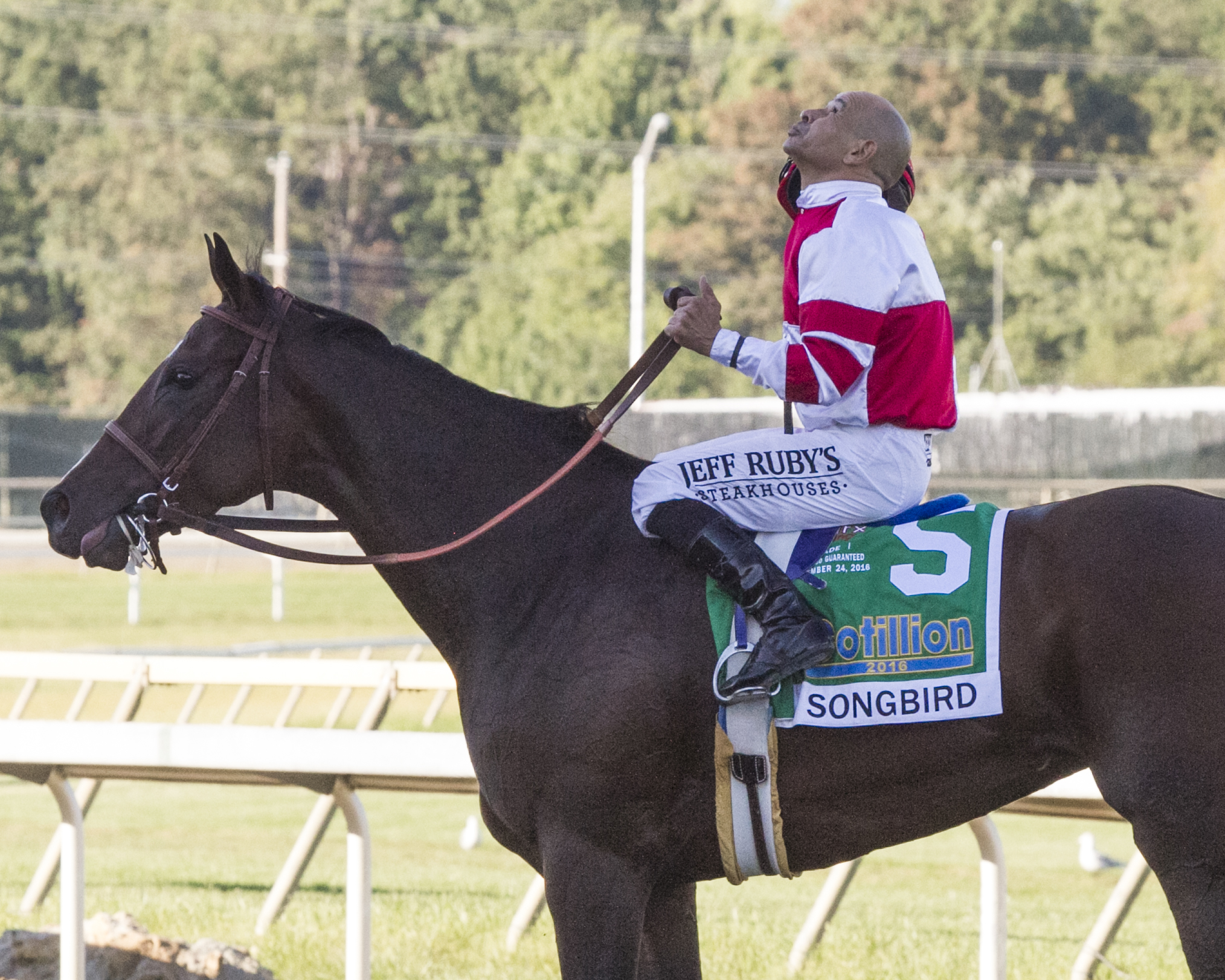 The Star Power of the Cotillion — The Pennsylvania Horse Racing Association