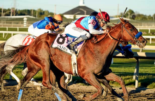 LO QUE APRENDIMOS: TAIBA NO ES LA TÍPICA ESTRELLA DE BAFFERT — The ...