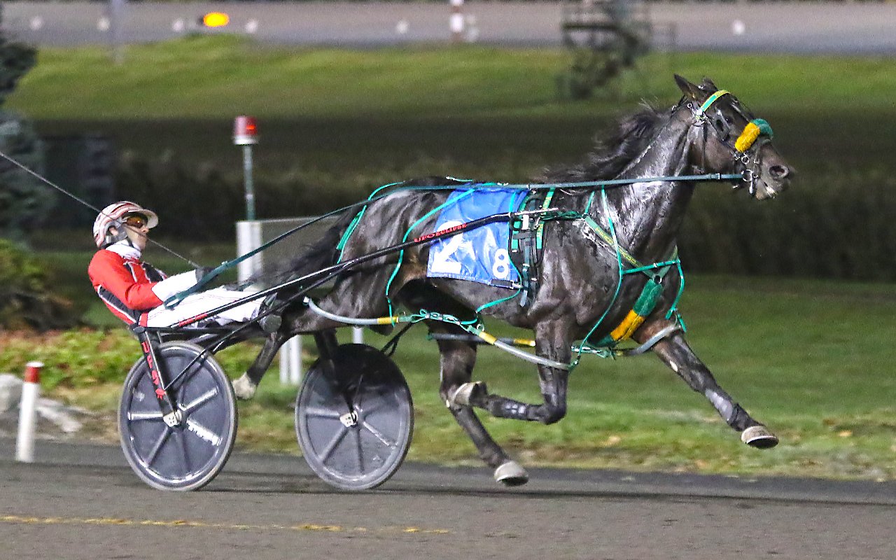 TWADDLE ESPERA UN 'FOUREVER' HOMECOMING EN BREEDERS CROWN — The ...