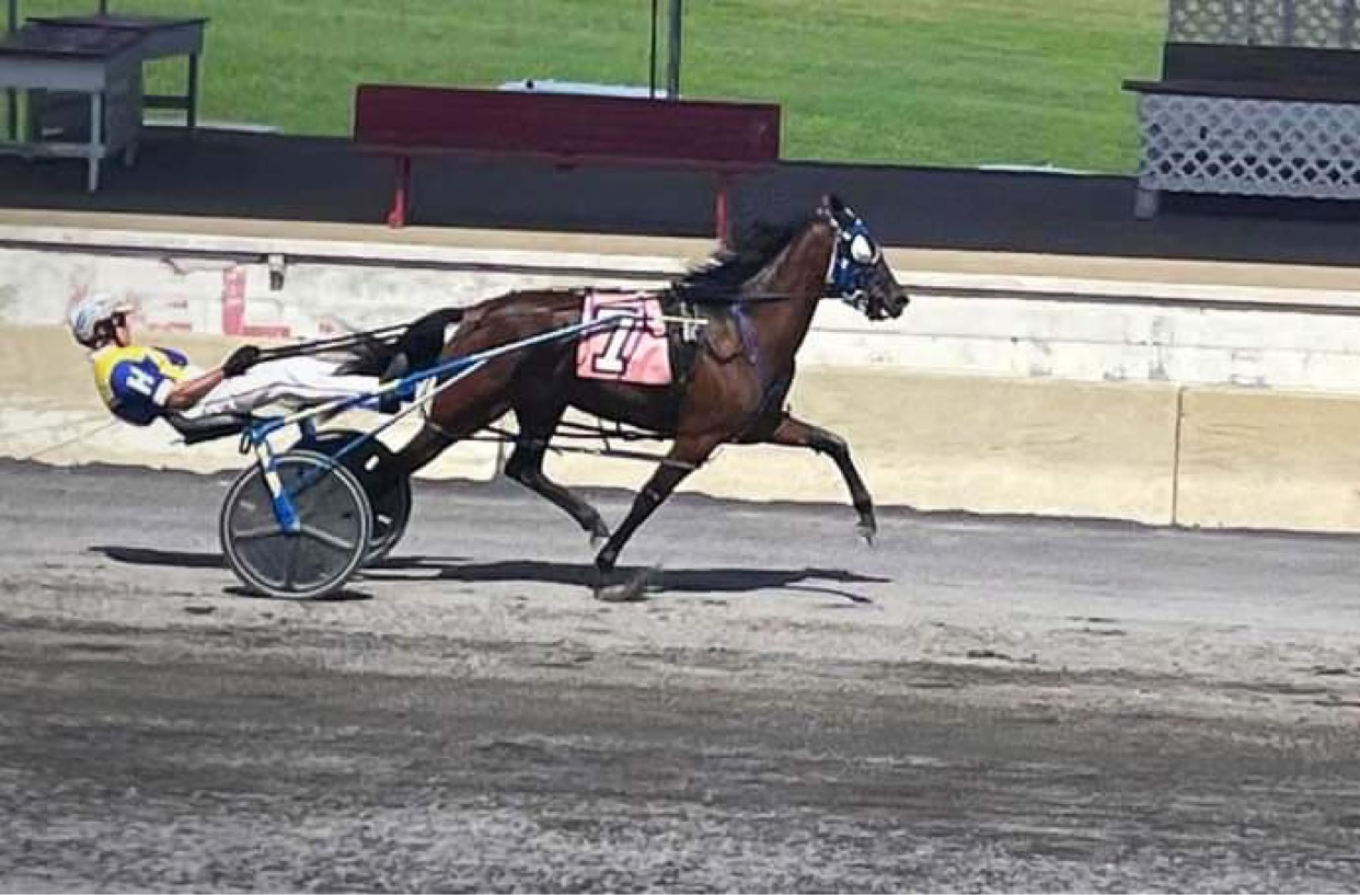 Hugh O’Neil Makes the Move and Shines in the US — The Pennsylvania ...