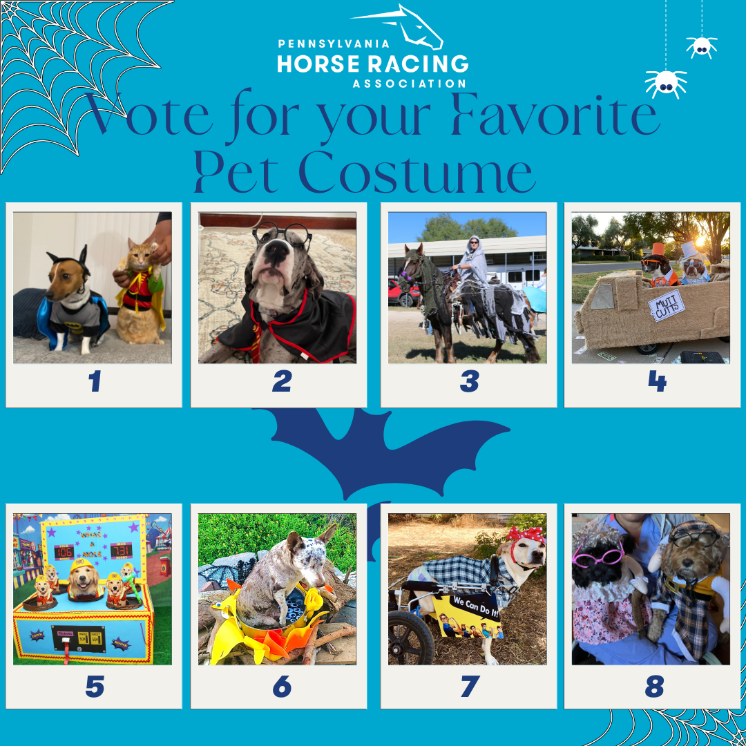 Pet Costume Voting — The Pennsylvania Horse Racing Association