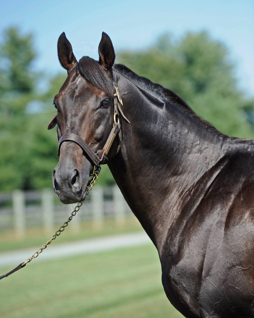 Breeding Season Begins — The Pennsylvania Horse Racing Association