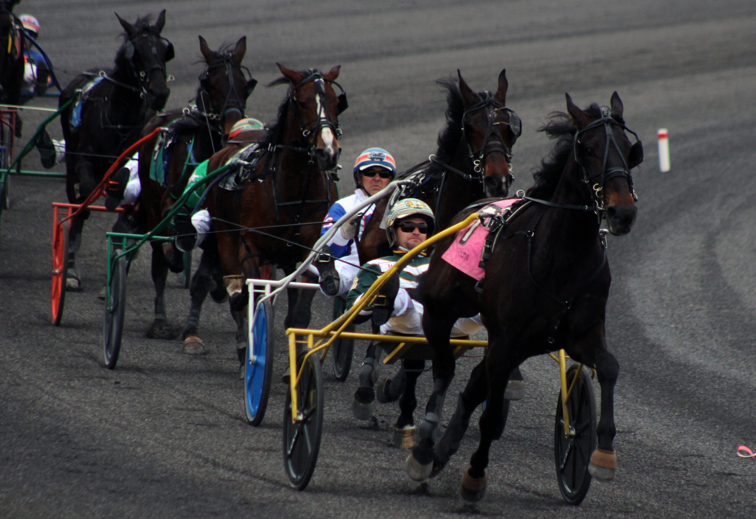 Día de Maxie Lee 2023 en Harrah's Philadelphia — The Pennsylvania Horse ...