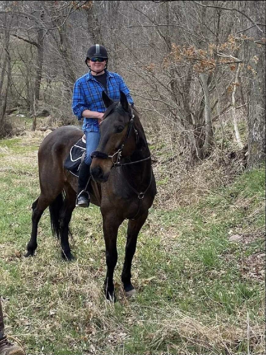 Life After Racing - Standardbred Incentive Program — The Pennsylvania ...