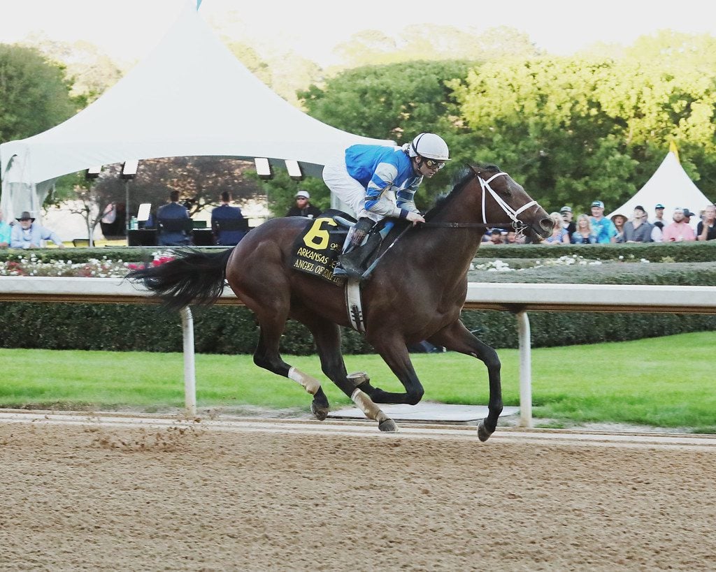 ANGEL OF EMPIRE, CRIADO EN PA, PUNTÚA EN EL DERBY DE ARKANSAS — The ...