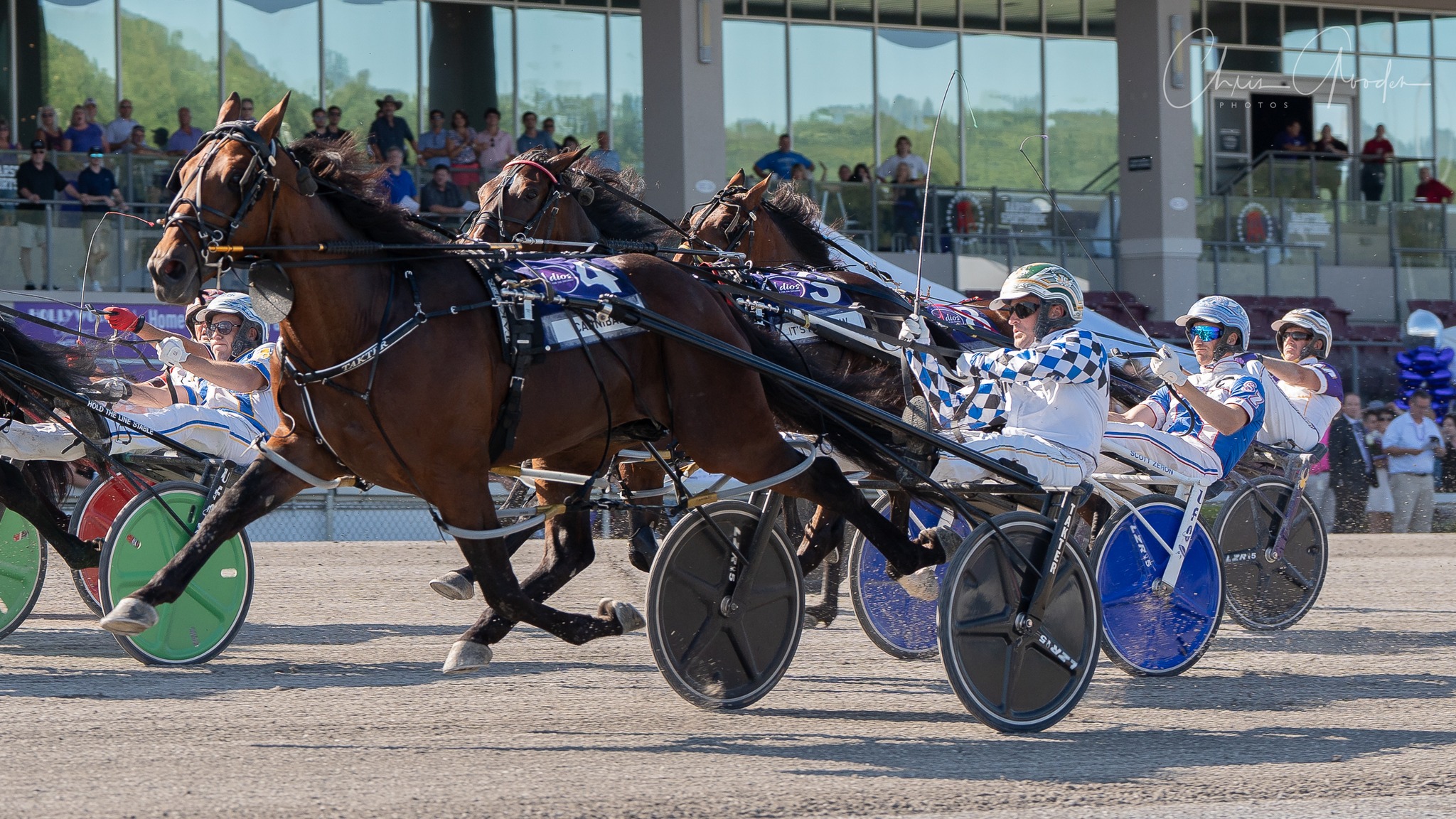 Trainer Nancy Takter - Making History in the Adios and Adioo Volo — The ...