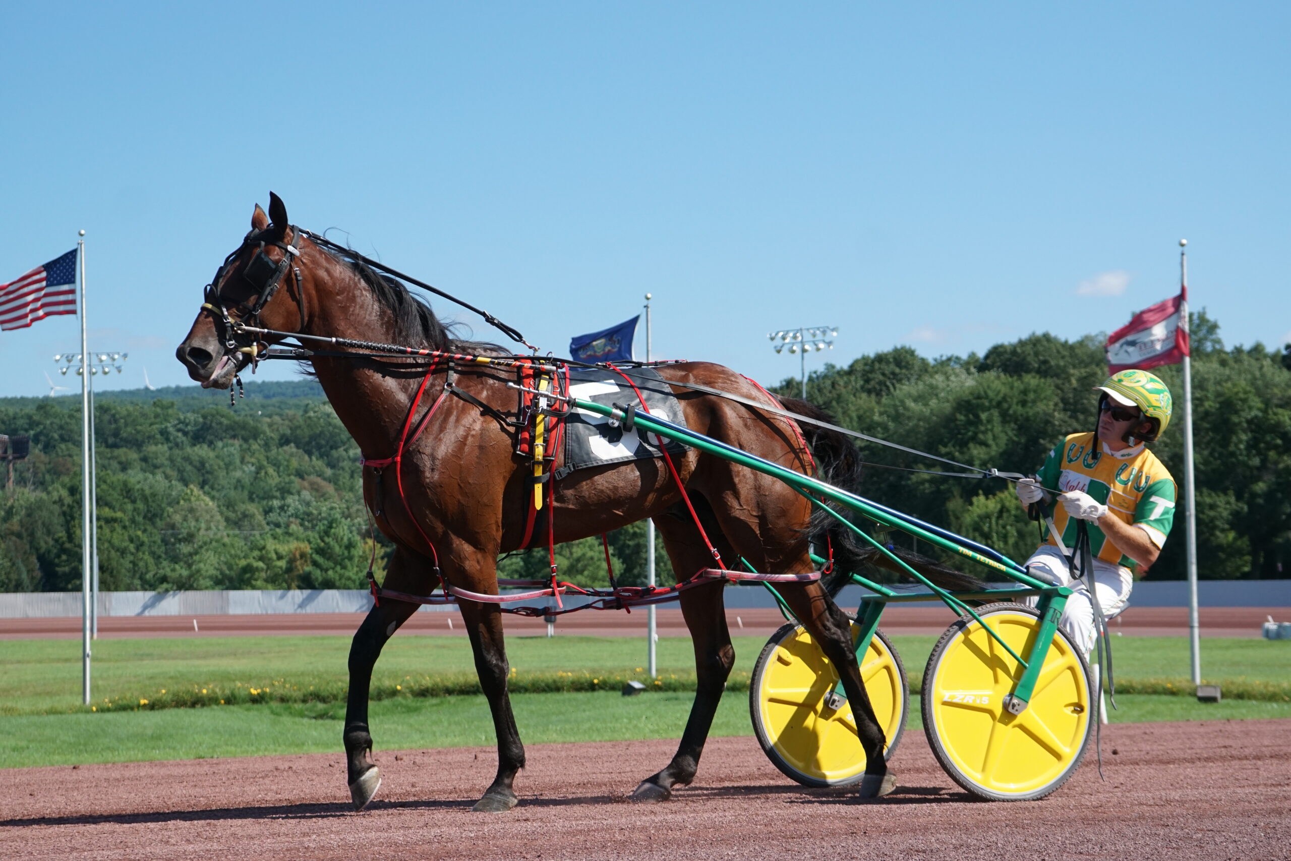 Sueños de jarra para Ken Hanover — The Pennsylvania Horse Racing ...