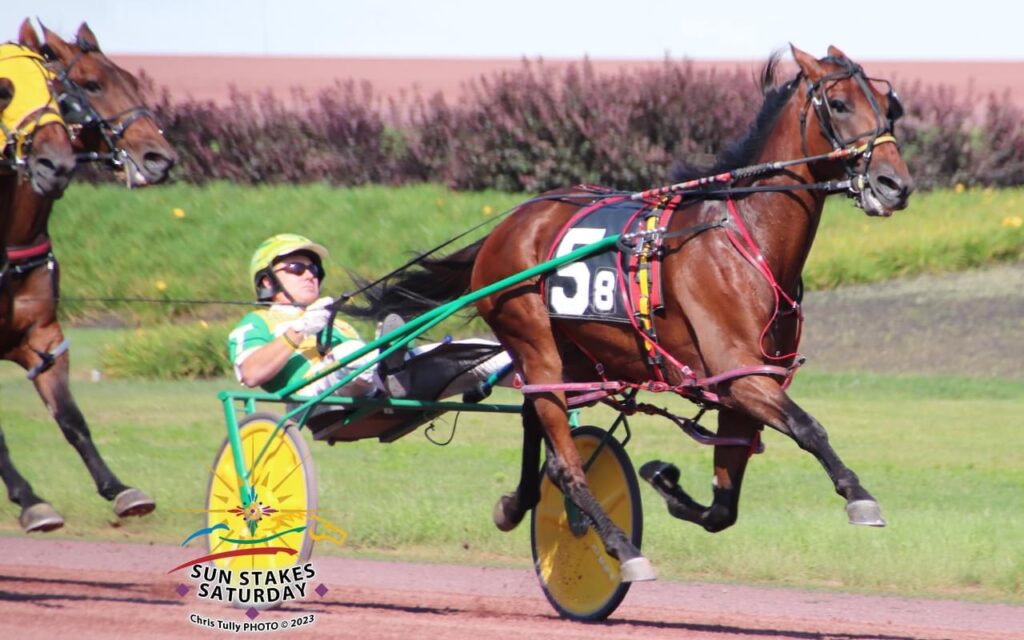 Sueños de jarra para Ken Hanover — The Pennsylvania Horse Racing ...