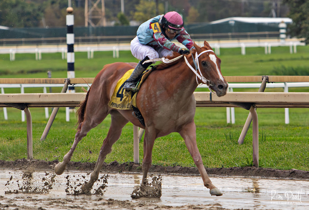 PA-Sired, PA-Bred Year End Finale — The Pennsylvania Horse Racing ...