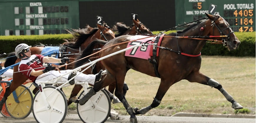 A Judge’s Lifelong Passion — The Pennsylvania Horse Racing Association