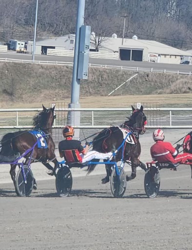 Jesse Barnard - A Rising Star in the West — The Pennsylvania Horse ...