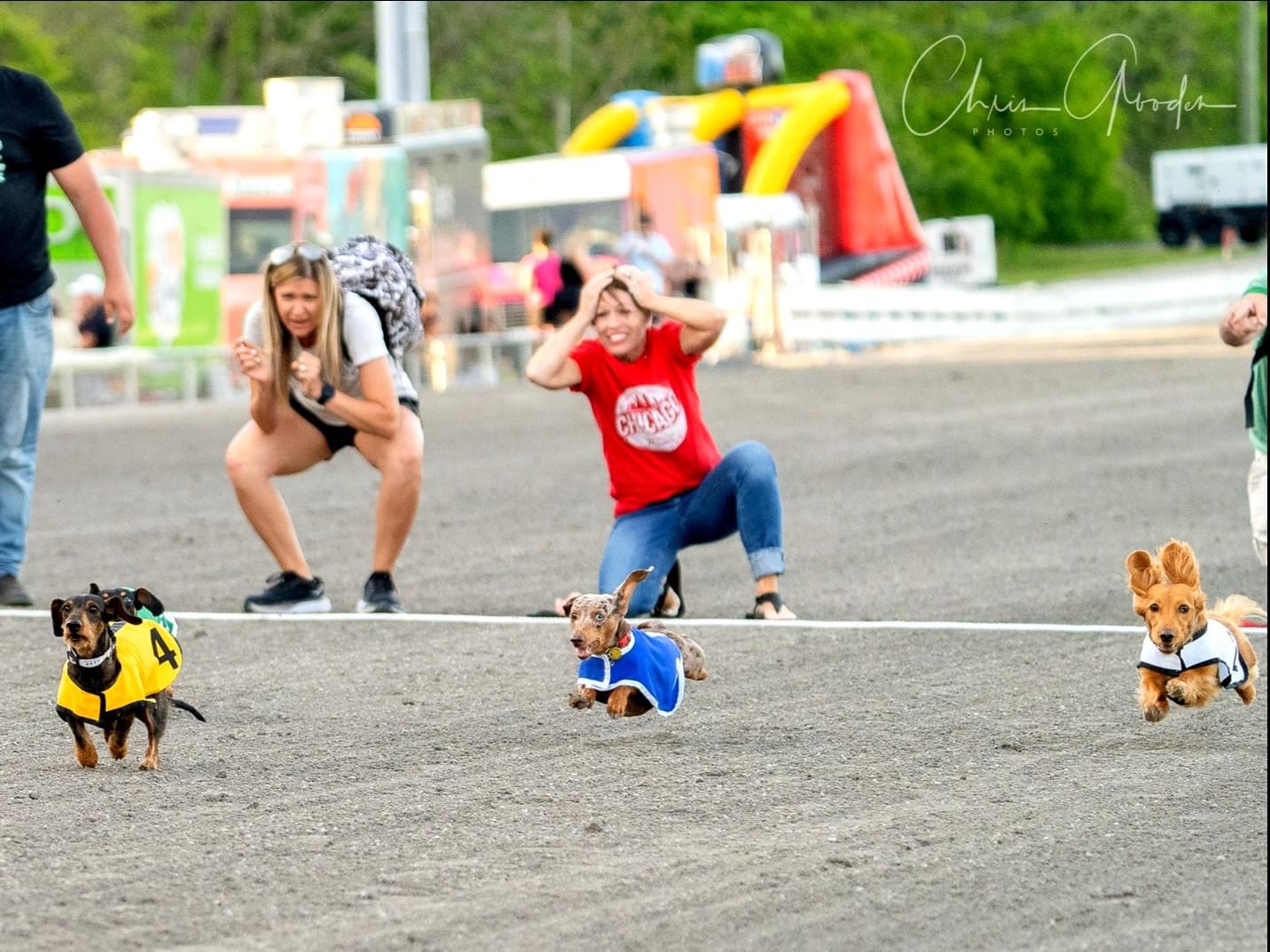 Pennsylvania Horse Racing — Family-friendly Events