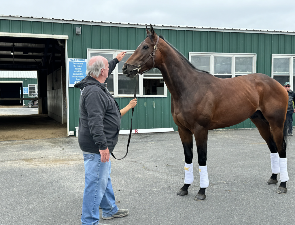 ¡CUIDADO CON LAS APUESTAS PREAKNESS! ¡ESTÁ A PUNTO DE VOLVERSE ‘HEAVY ...