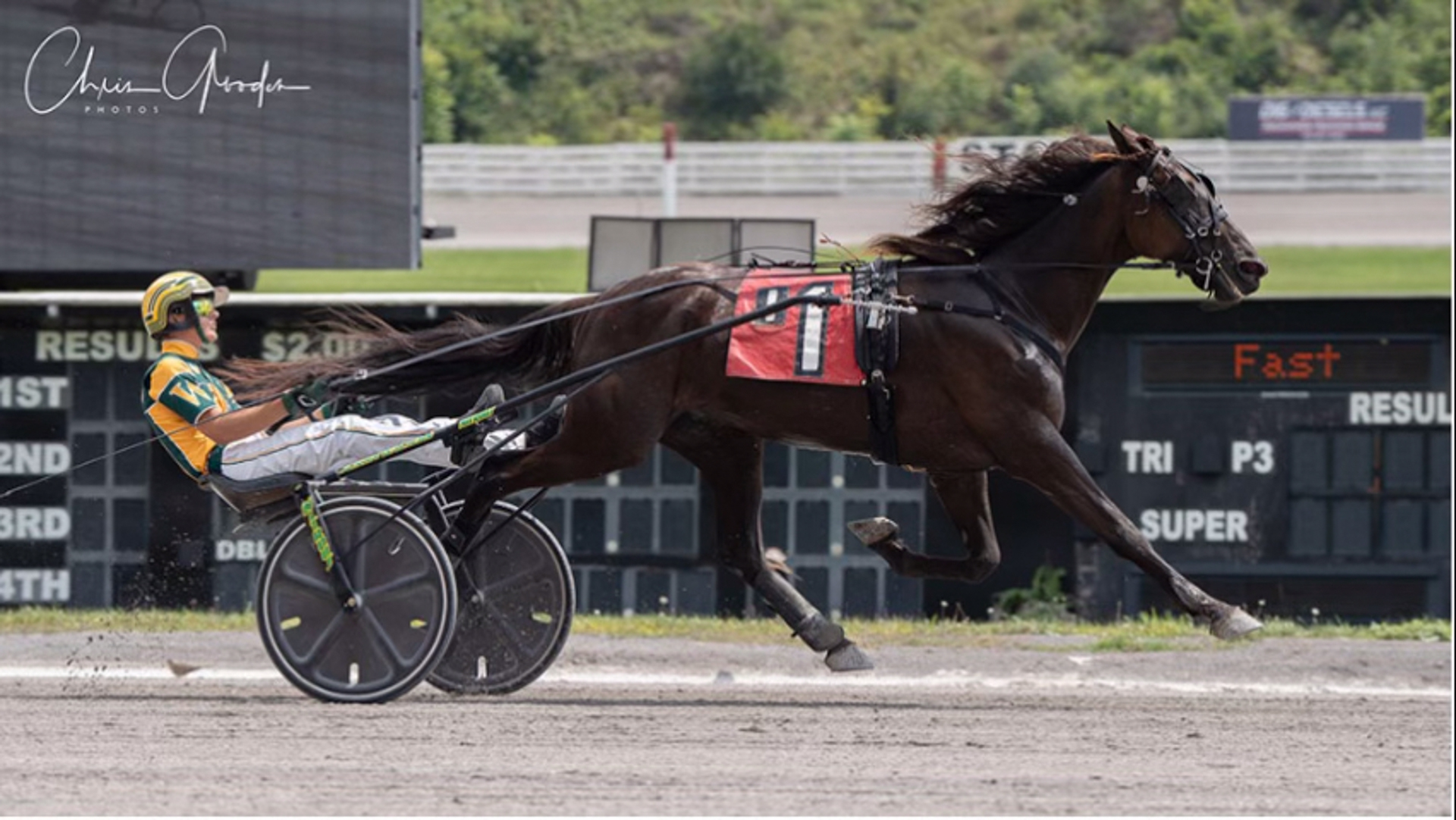 Justin Walters and Steve Walters — The Pennsylvania Horse Racing ...
