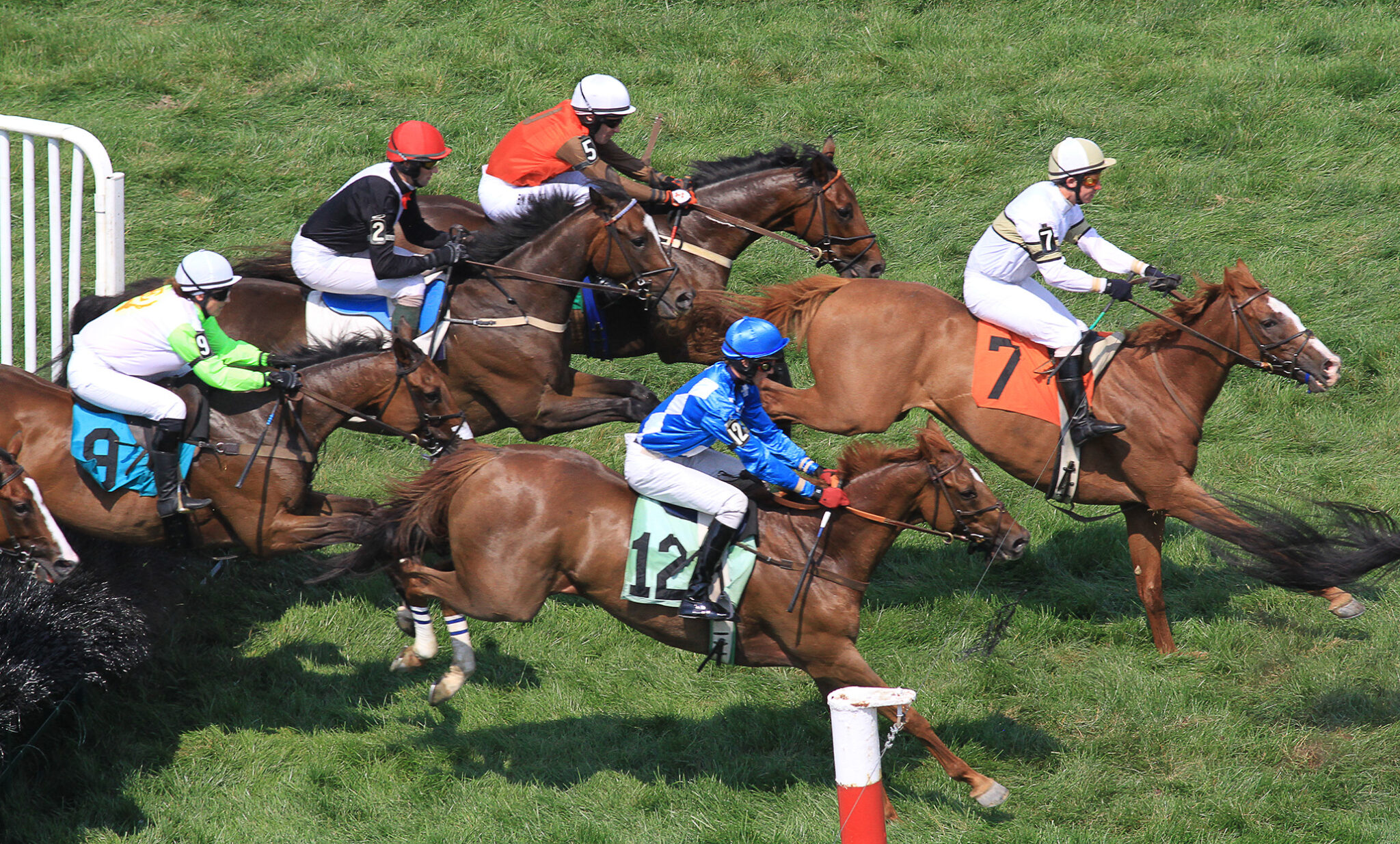 Steeplechasing — The Pennsylvania Horse Racing Association