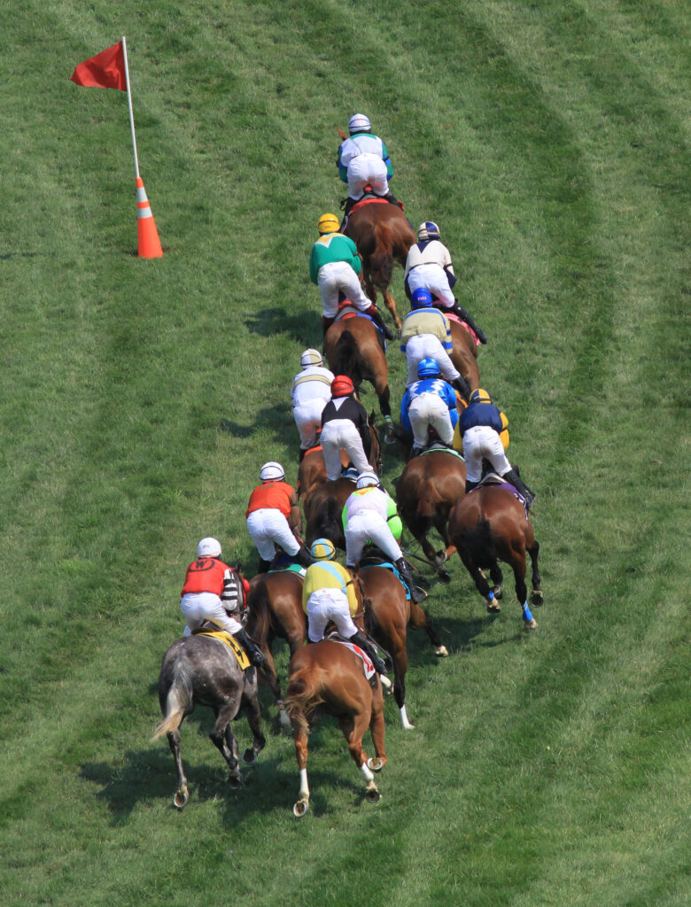 Steeplechasing — The Pennsylvania Horse Racing Association