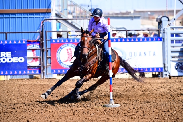 A Success Story – From Racetrack to Rodeo — The Pennsylvania Horse ...