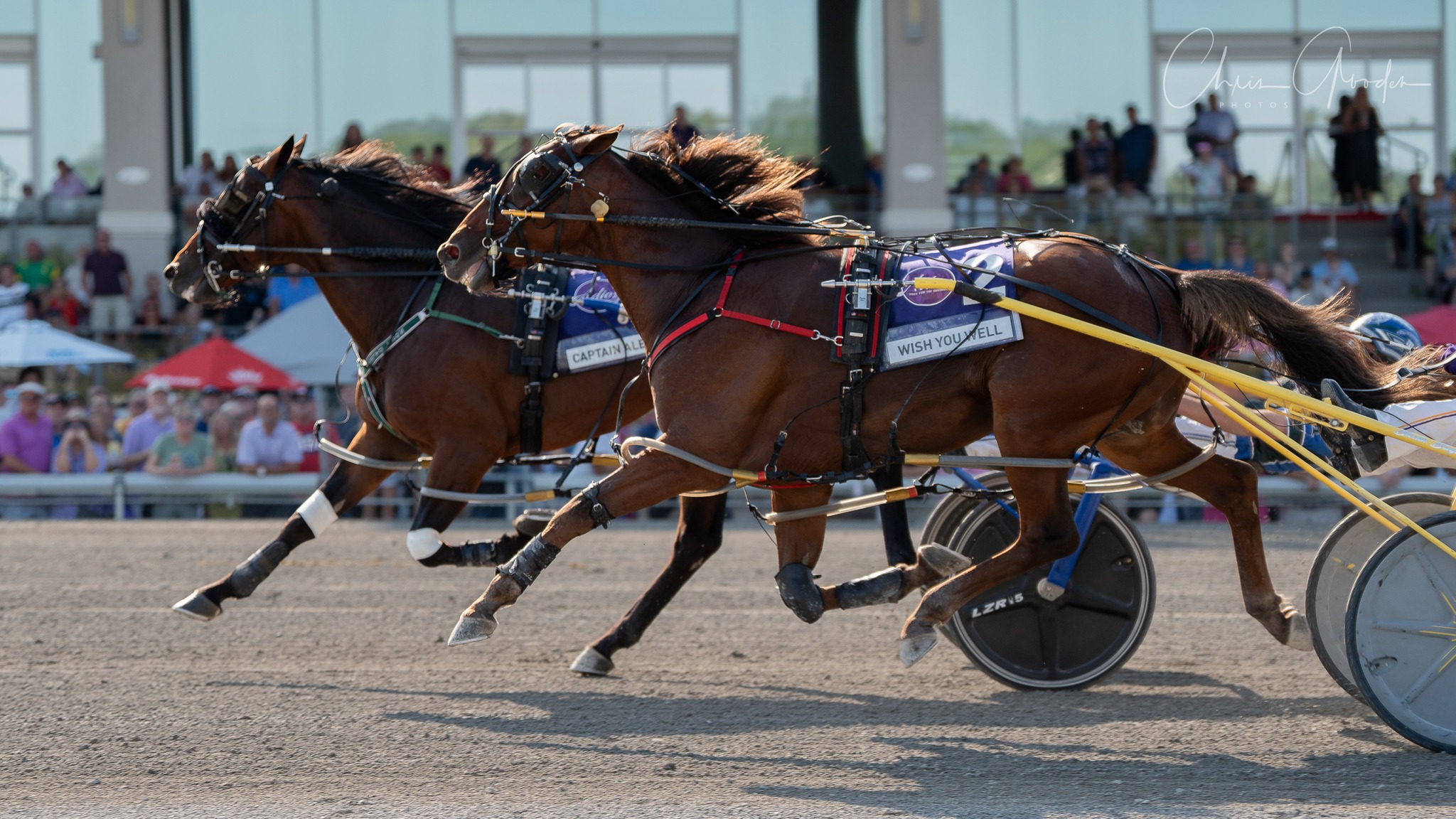 The Stars Shine on Sun Stakes Saturday — The Pennsylvania Horse Racing ...