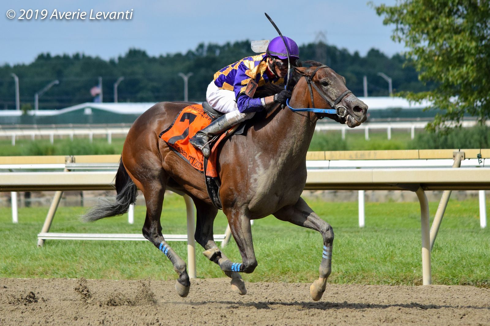 PA Day at the Races — The Pennsylvania Horse Racing Association