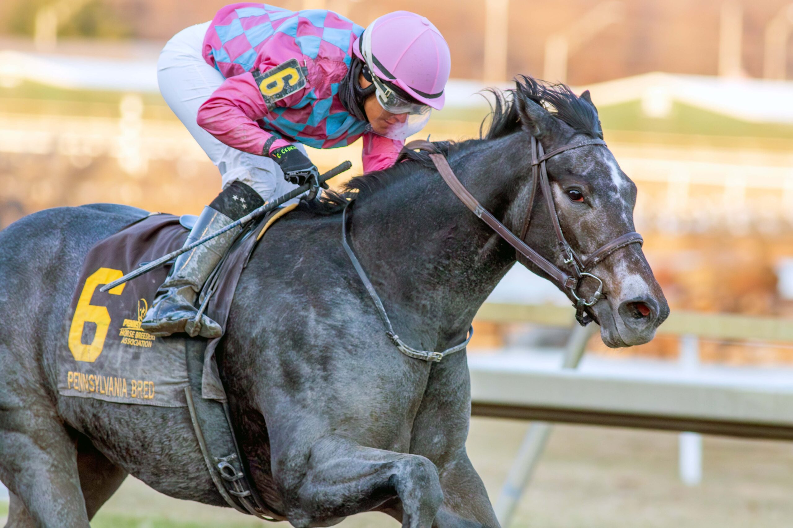 Stakes Filled Racing on Thanksgiving Eve at Parx and Penn National ...