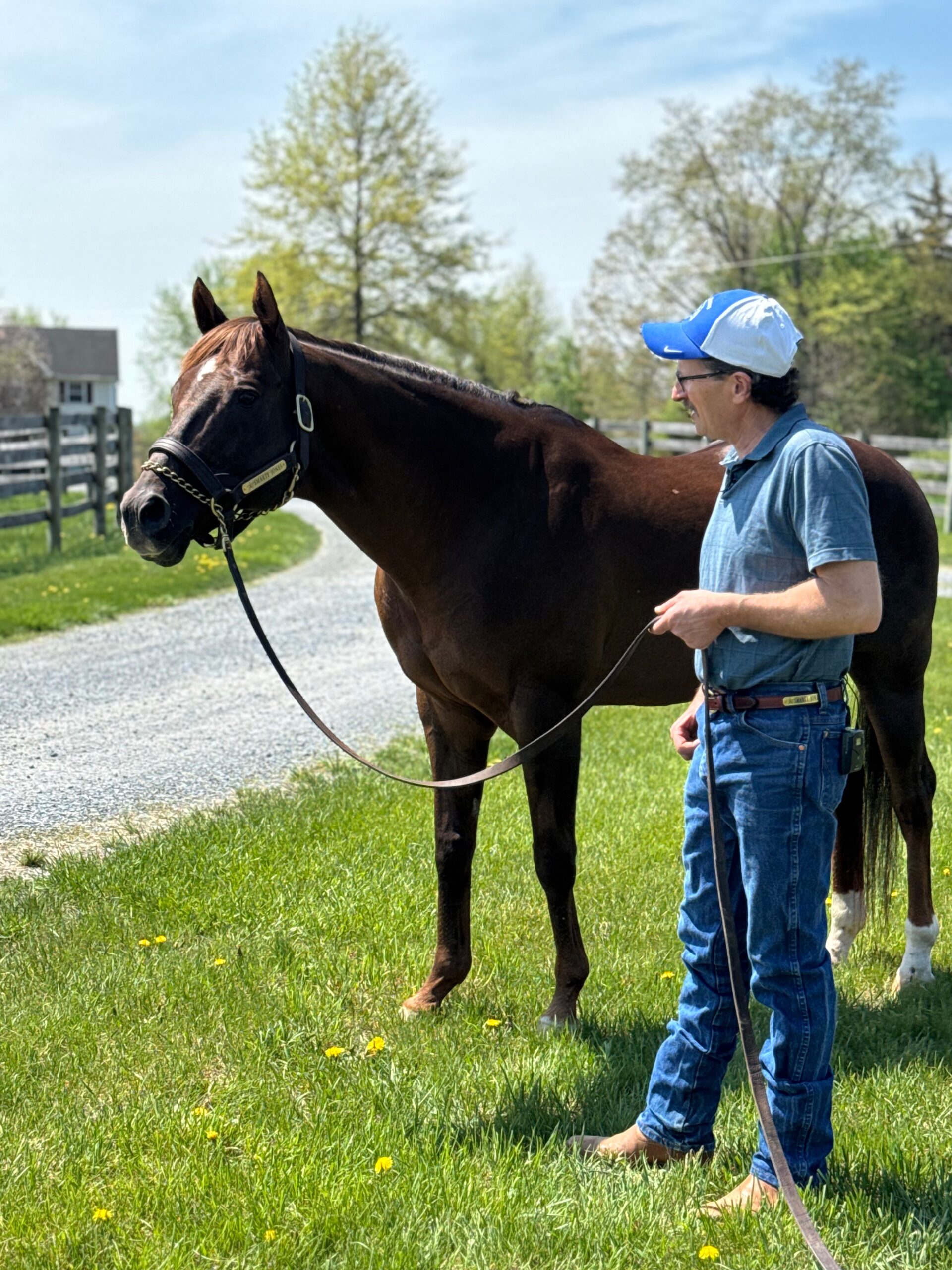 Smarty Jones to trot into the Hall of Fame this summer — The ...