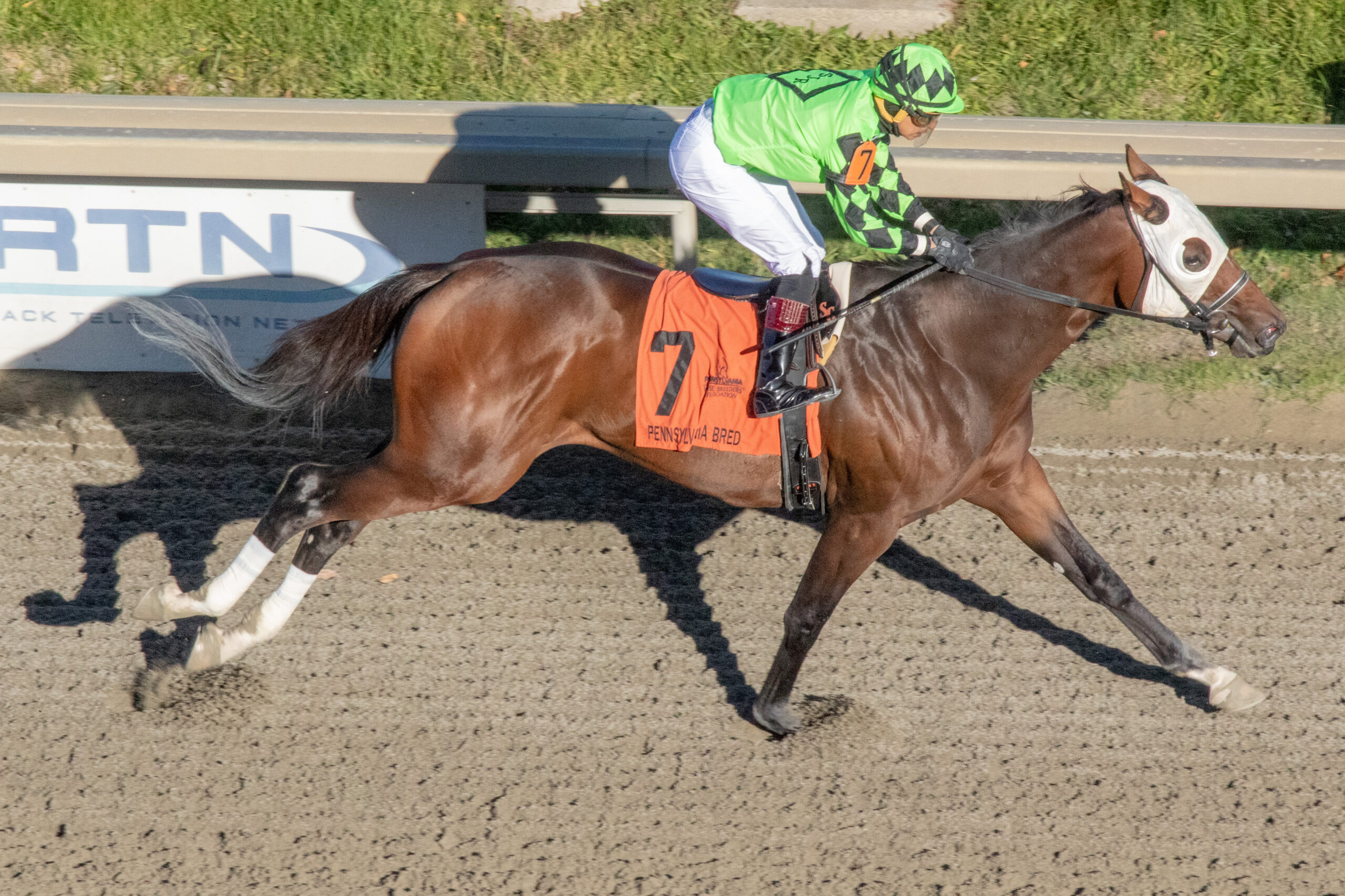 Juvenile Stakes Highlight Thanksgiving Eve Racing at Parx and Penn ...